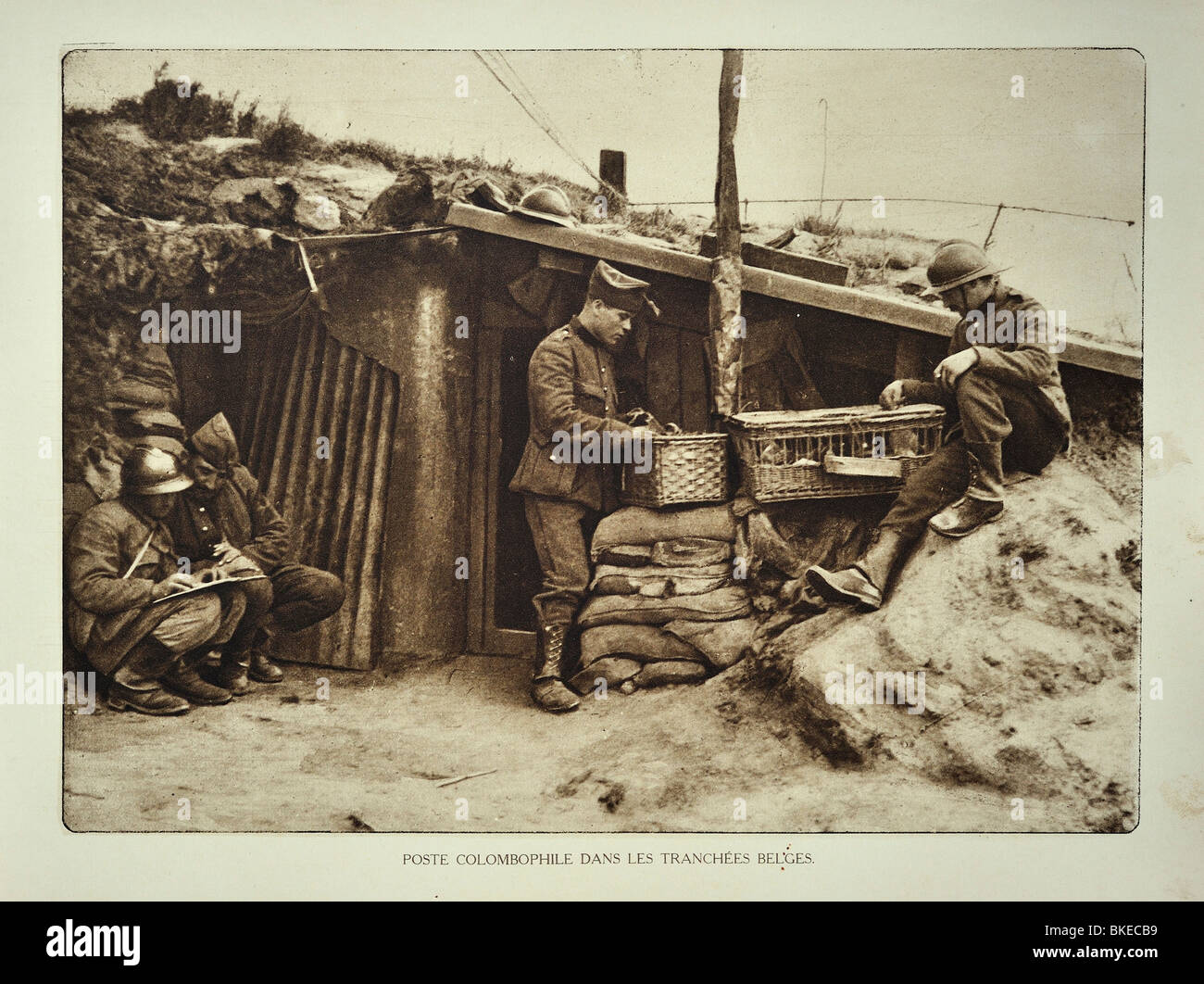 WW1 soldats belges dans la mise en place de tranchées des messages sur ...