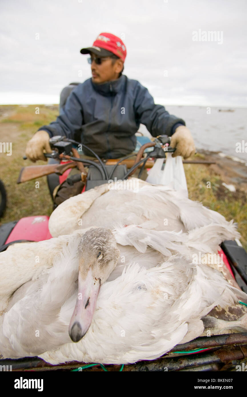 Inuit food alaska Banque de photographies et d’images à haute ...