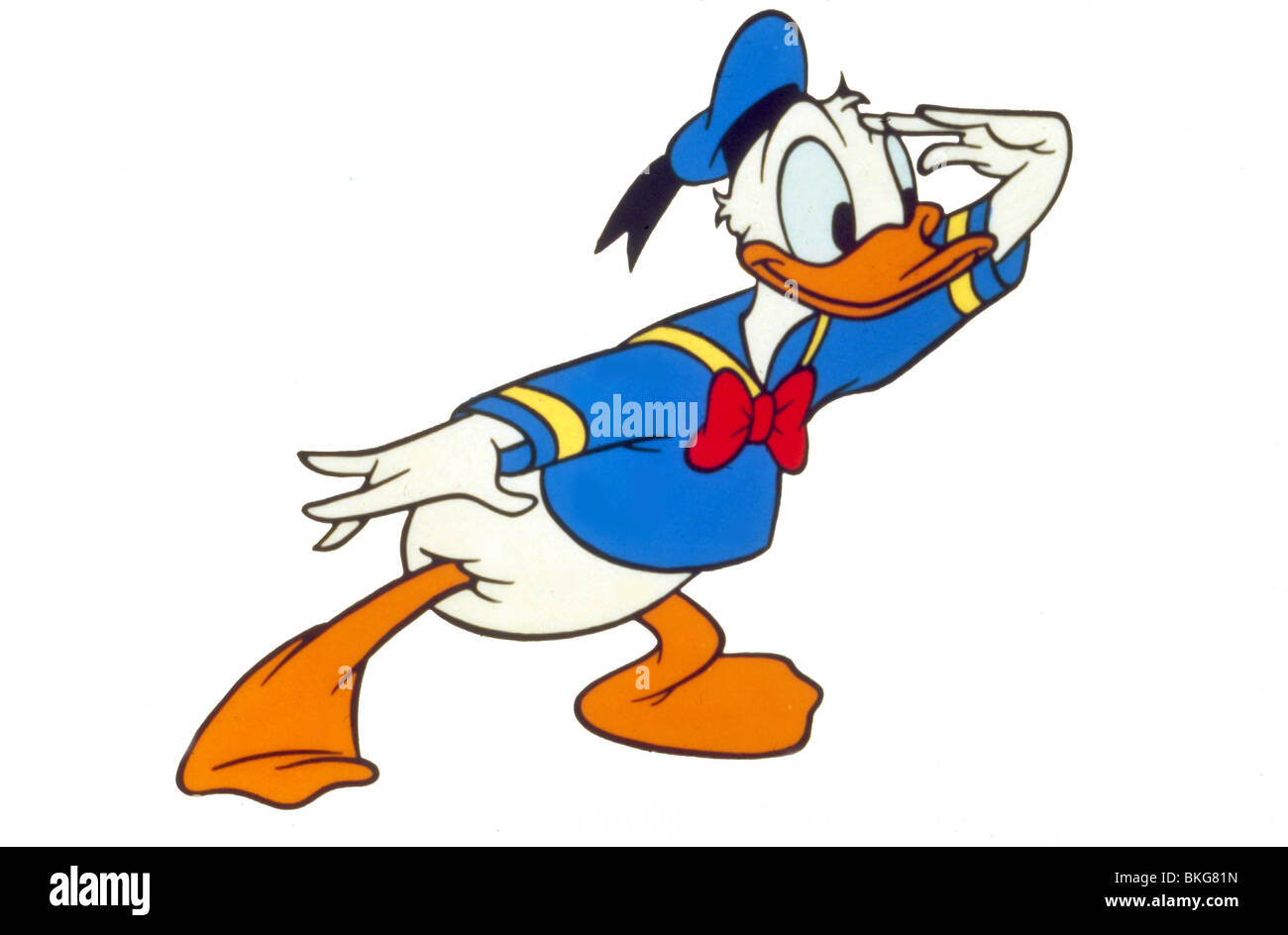 PORTRAIT DE DONALD DUCK DUCK DISNEY CRÉDIT 003 Photo Stock - Alamy
