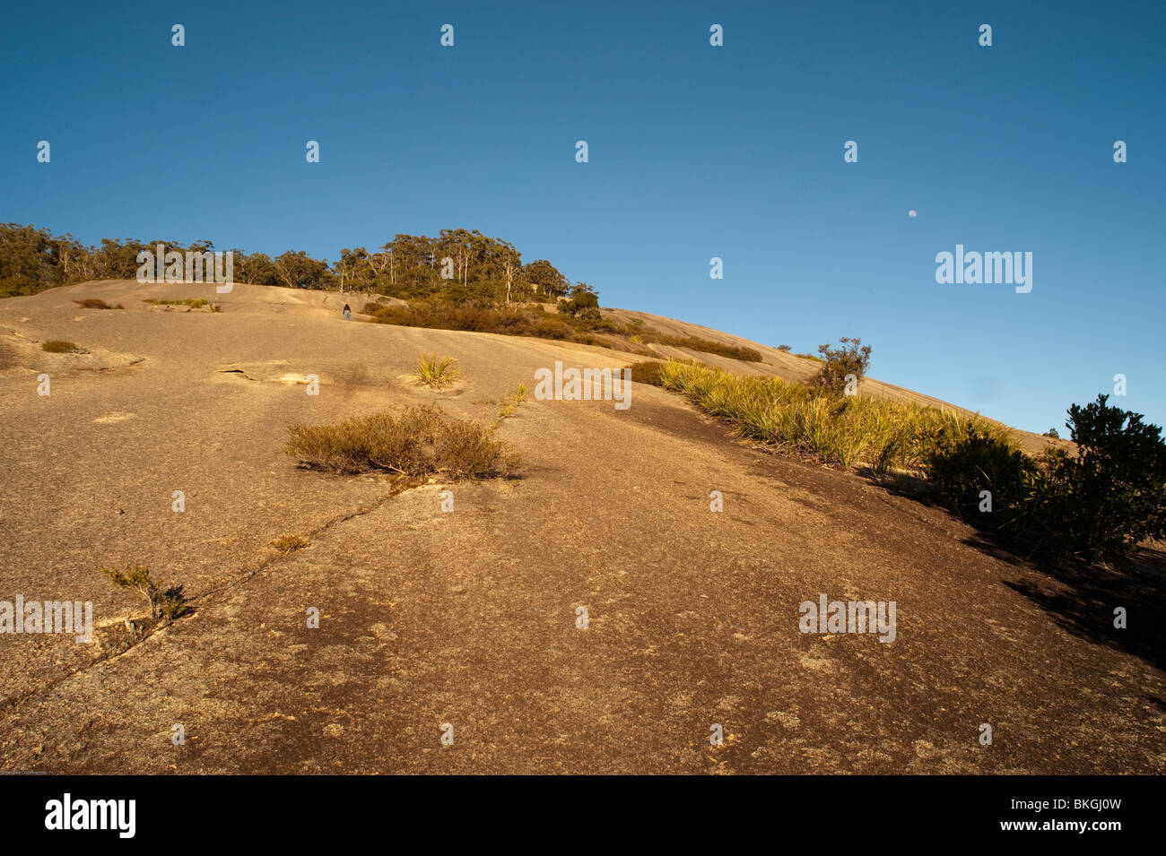 Granit tenterfield nsw australie Banque de photographies et d’images à ...