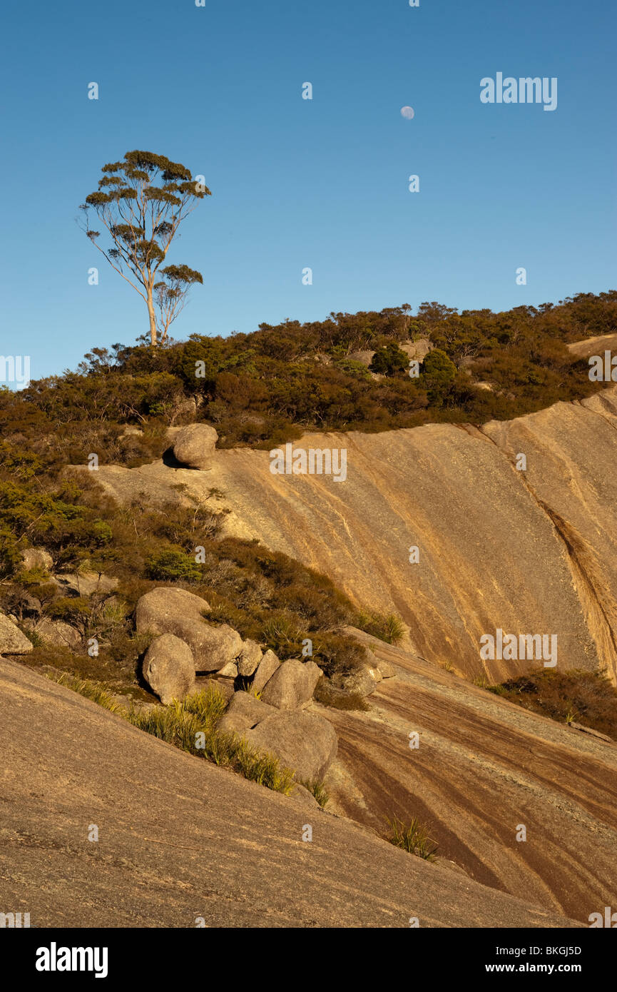 Granit tenterfield nsw australie Banque de photographies et d’images à ...