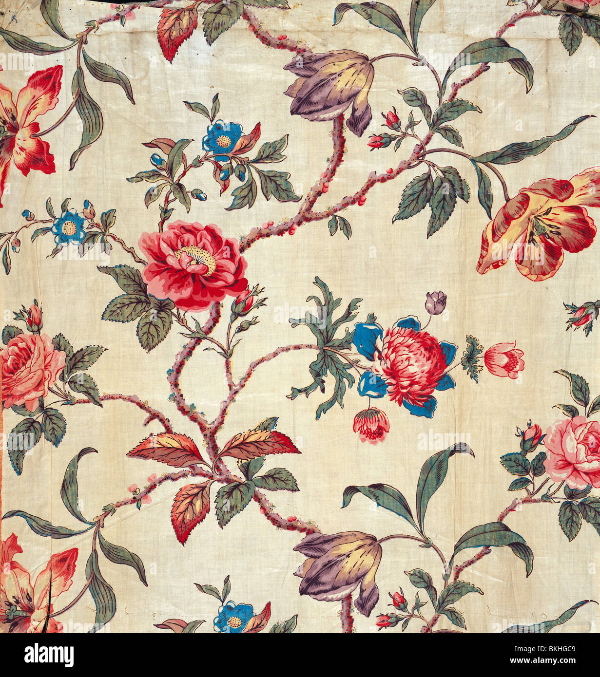 Motif floral Banque de photographies et d’images à haute résolution - Alamy