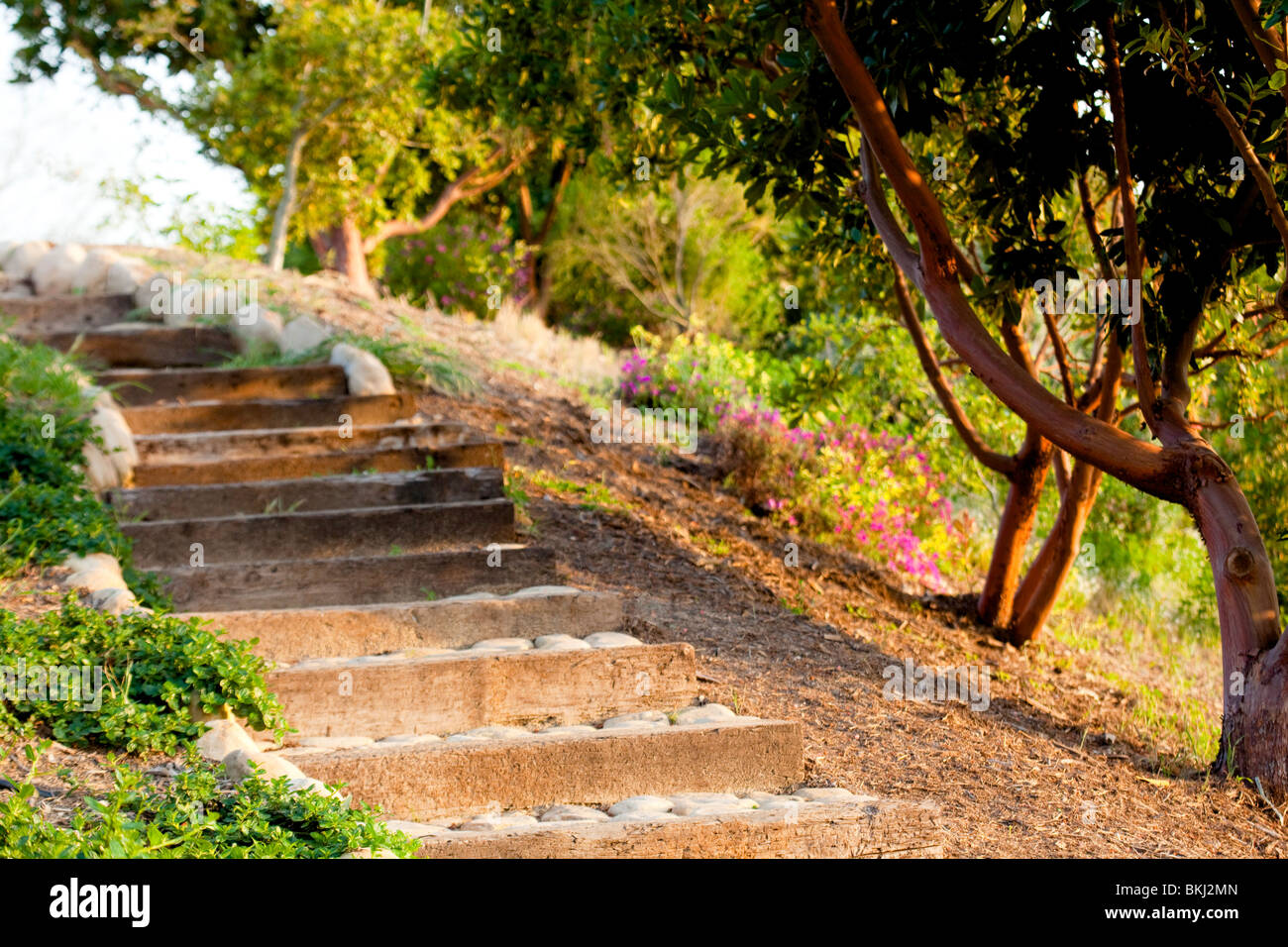 Marches en plein air Banque de photographies et d’images à haute ...