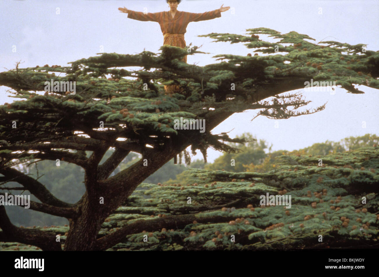 Princess caraboo 1994 phoebe cates Banque de photographies et d’images ...