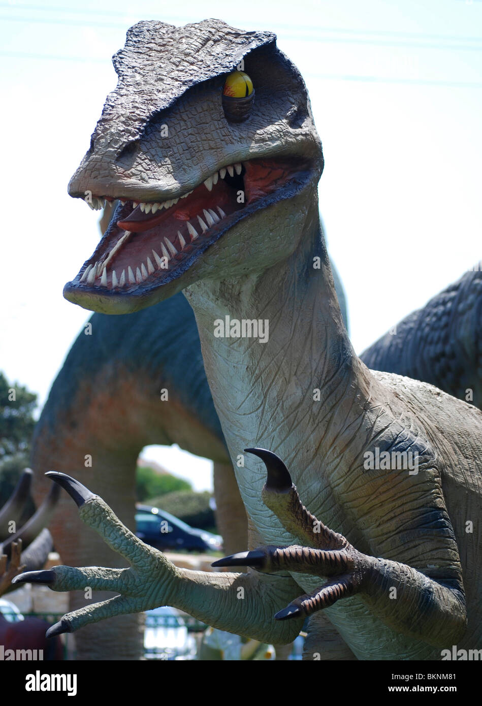 Velociraptor dinosaur Banque de photographies et d’images à haute résolution - Page 4 - Alamy