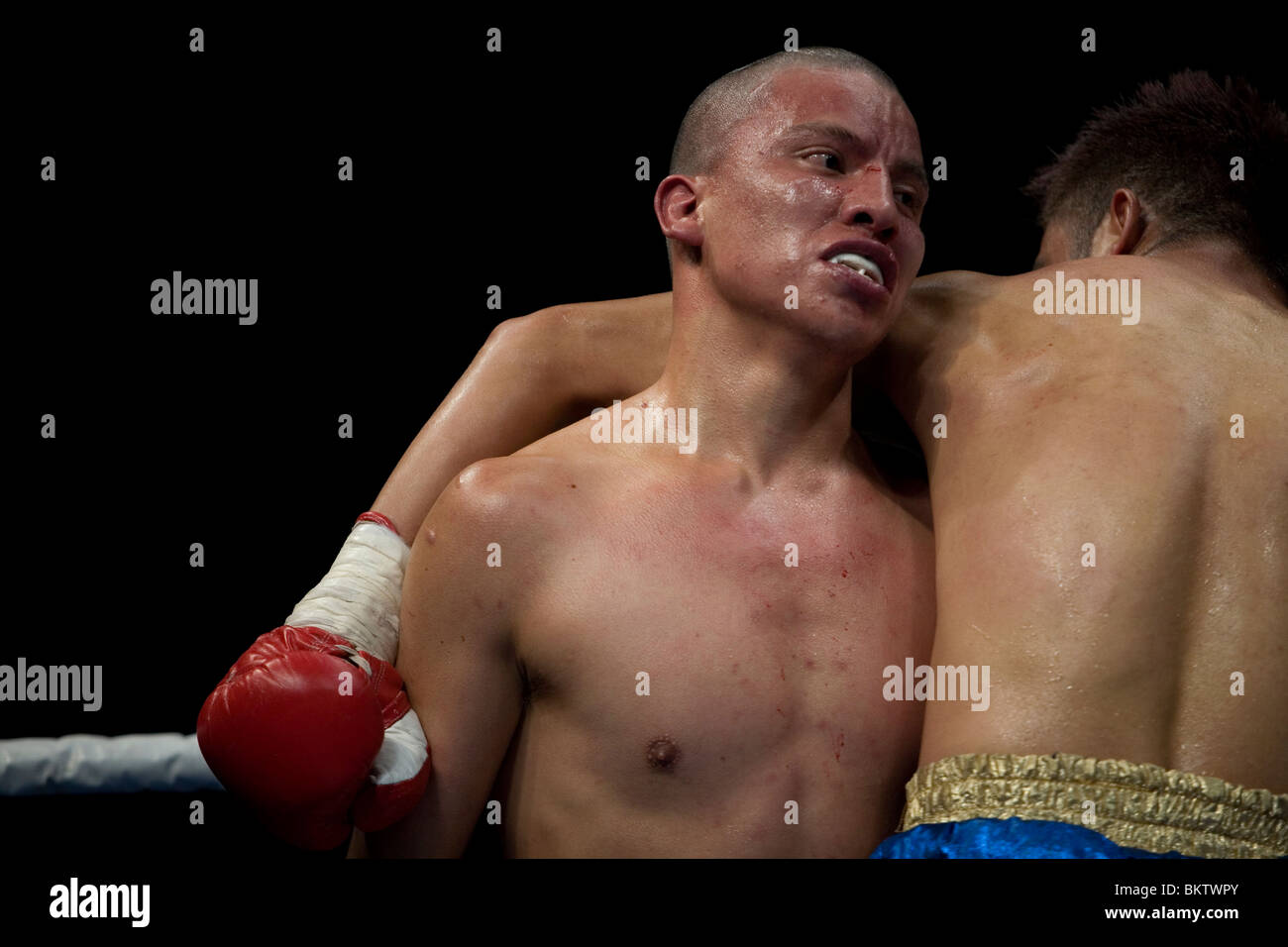 Jonathan 'Pantera Boxer Boxer Pena des gestes lors d'un combat dans la ...