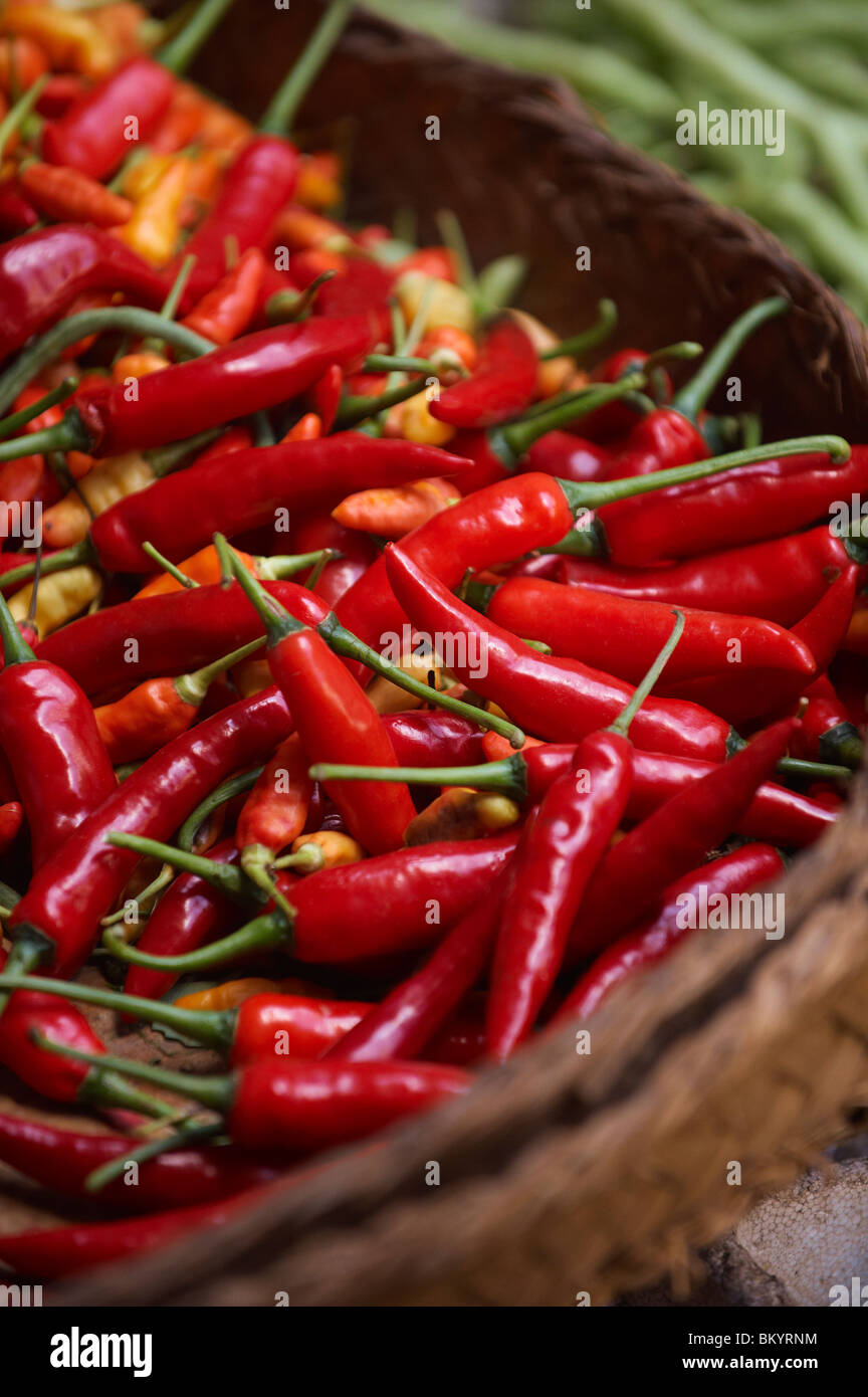 Chilis rouge Banque de photographies et d’images à haute résolution - Alamy