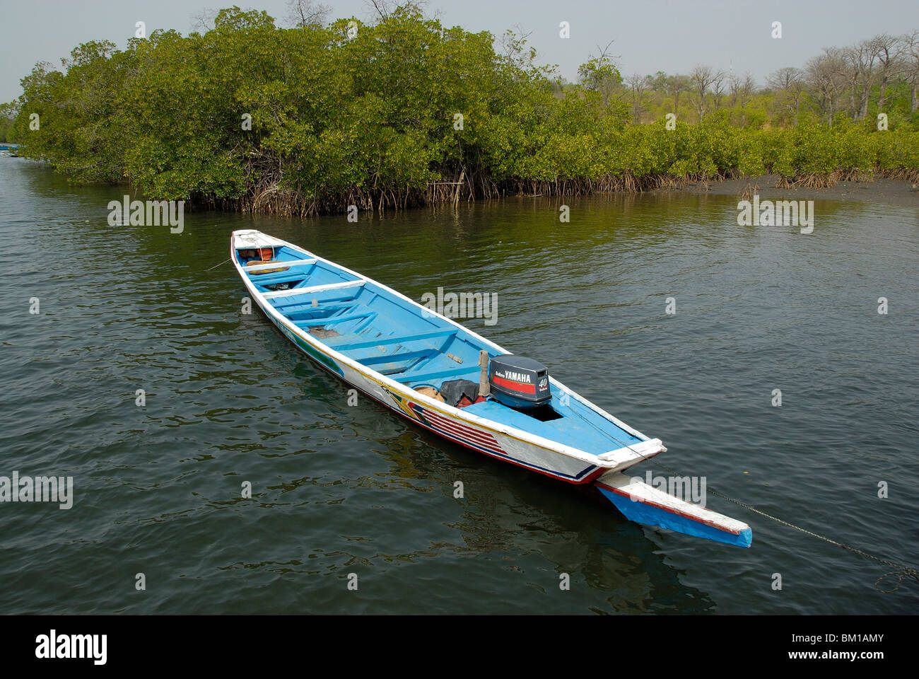 Saloum river Banque de photographies et d’images à haute résolution - Alamy