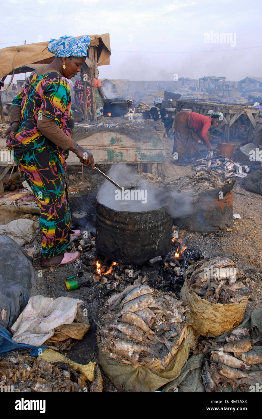 La transformation du poisson, Saint-Louis, République du Sénégal, l ...