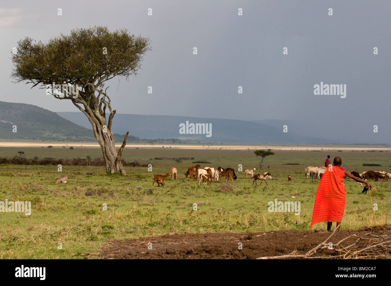 Homme traditionnel masai Banque de photographies et d’images à haute ...