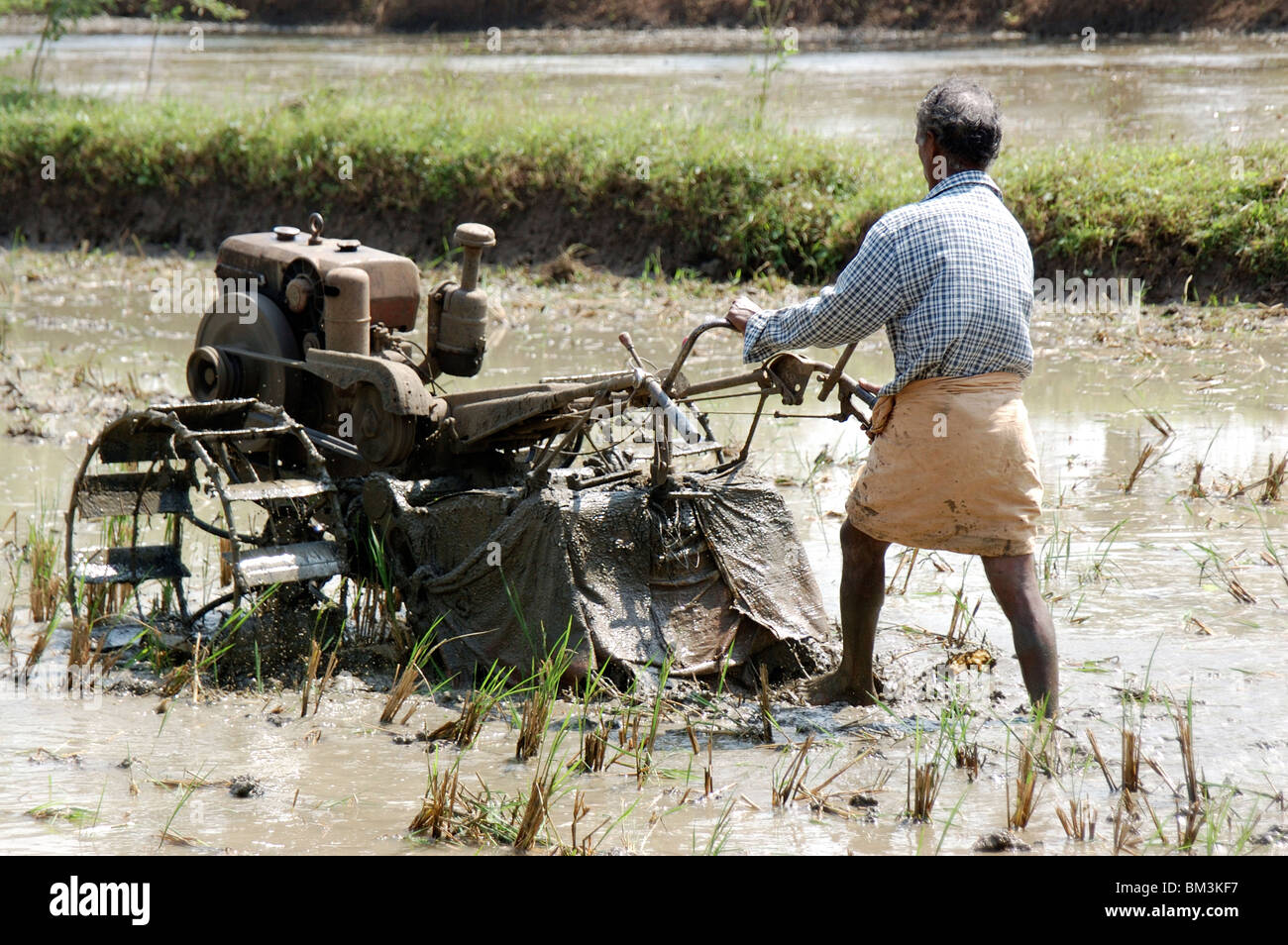 L'agriculture indienne du Kerala,agriculture,rizière palakad,indian ...