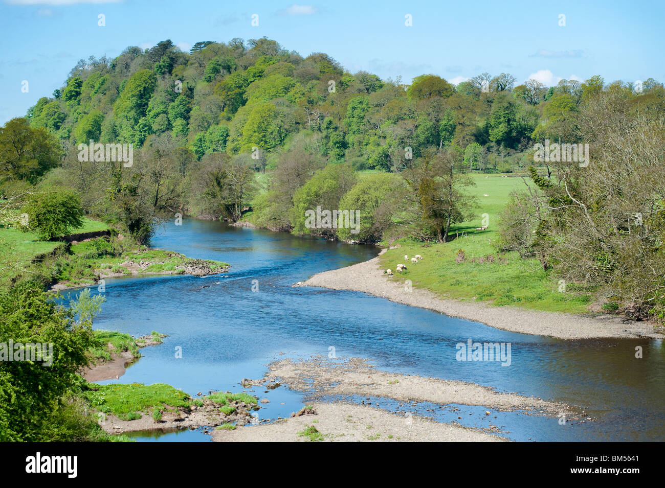 Tywi river Banque de photographies et d’images à haute résolution - Alamy