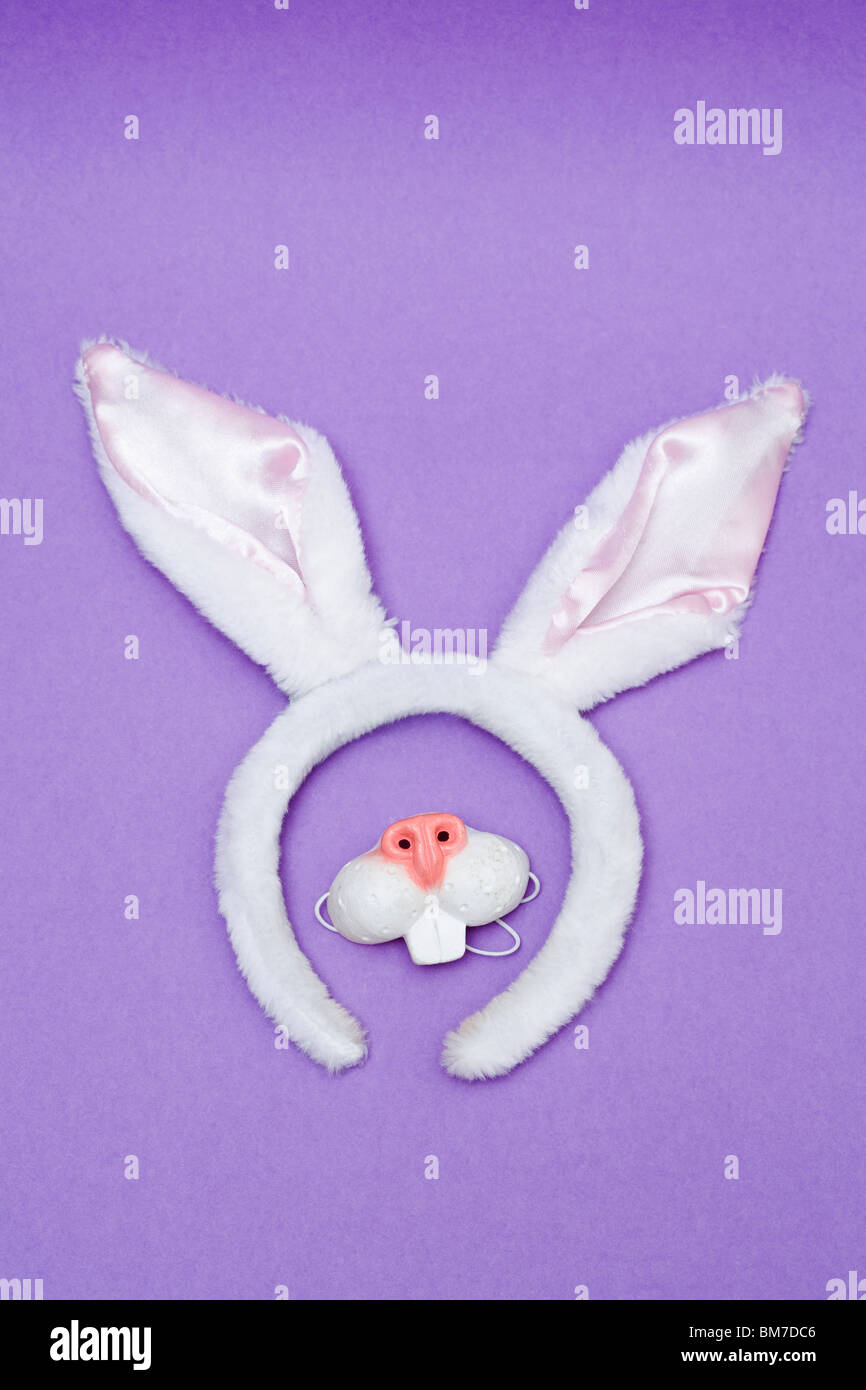 Lapin nez Banque de photographies et d’images à haute résolution - Alamy