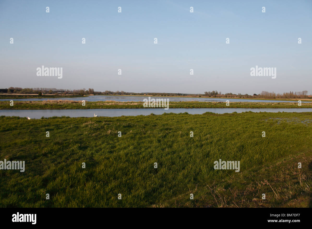 Rspb lakenheath fen Banque de photographies et d’images à haute ...