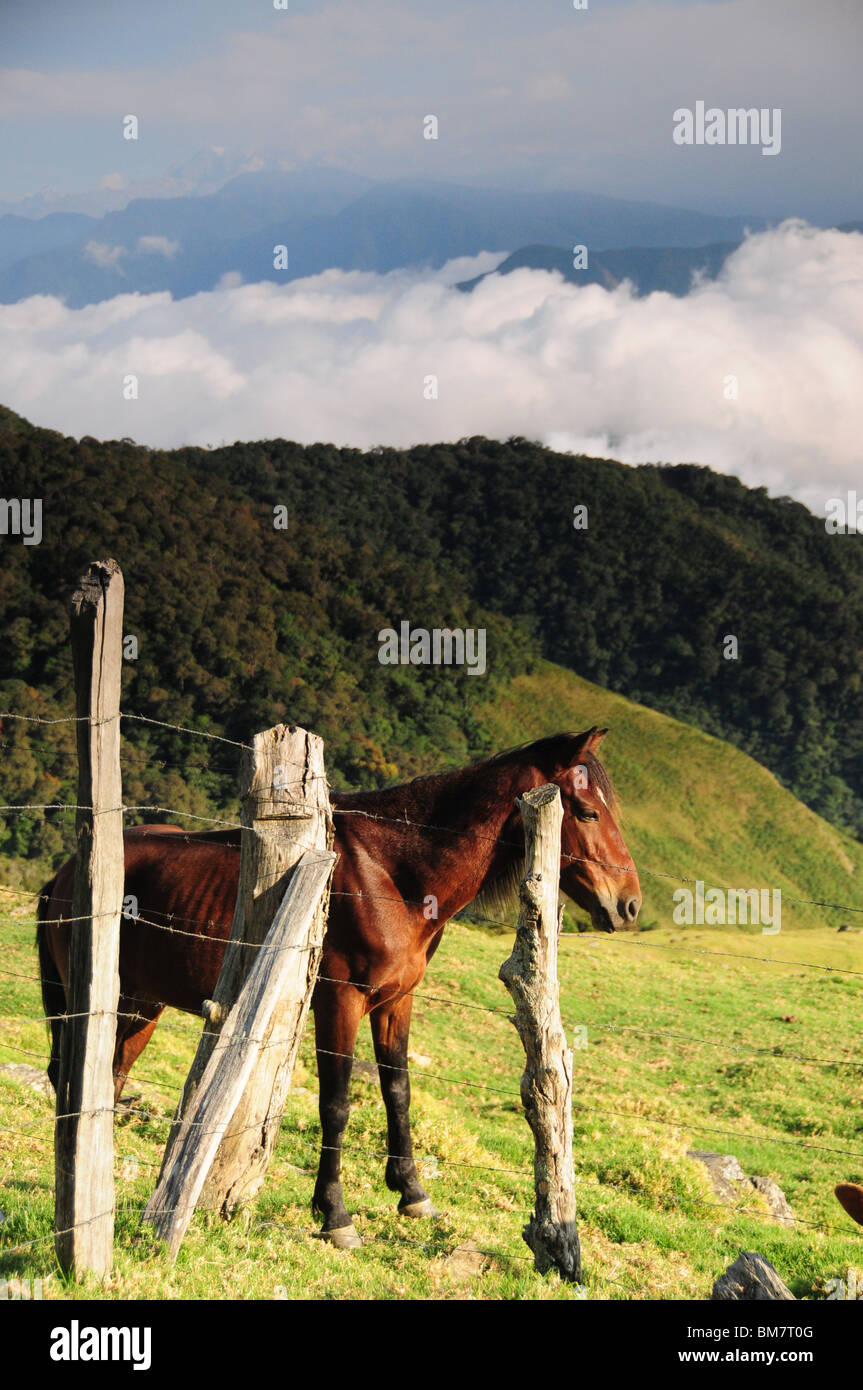 Cowboy ranch Banque de photographies et d’images à haute résolution - Alamy