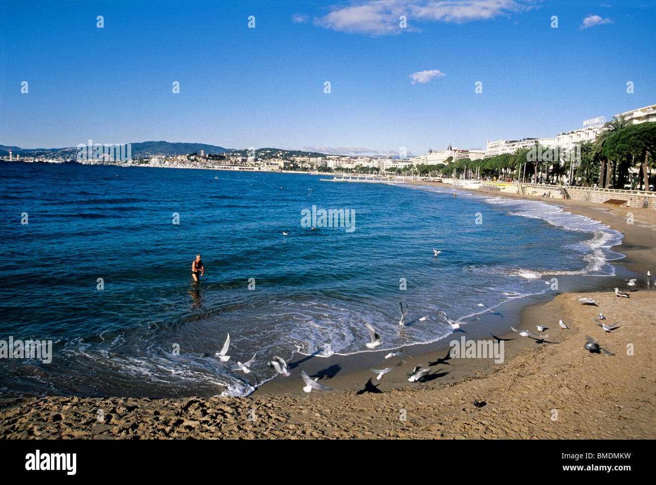 Plage publique cannes cote dazur Banque de photographies et d’images à ...