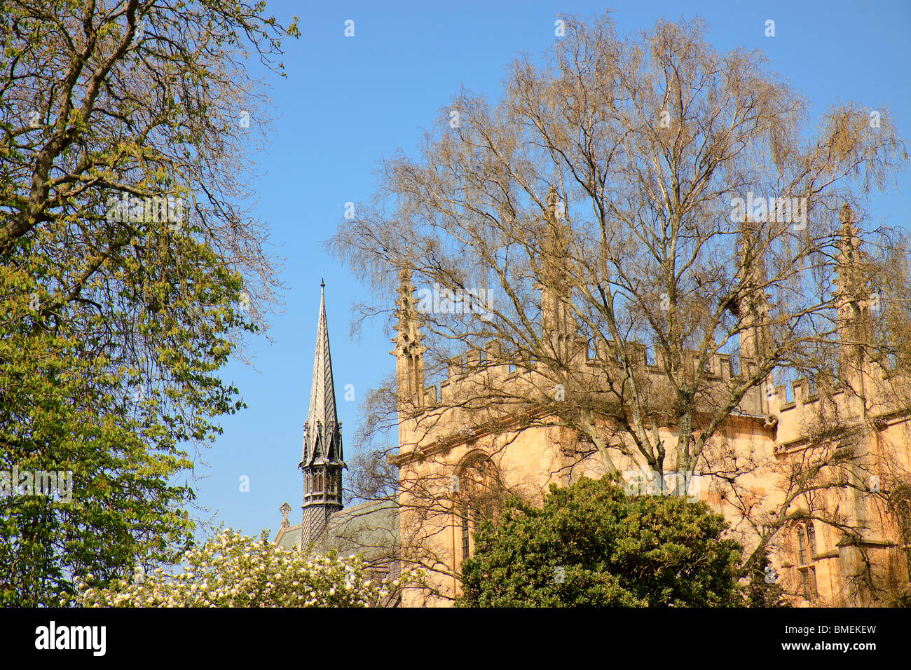 Exeter college oxford university Banque de photographies et d’images à ...