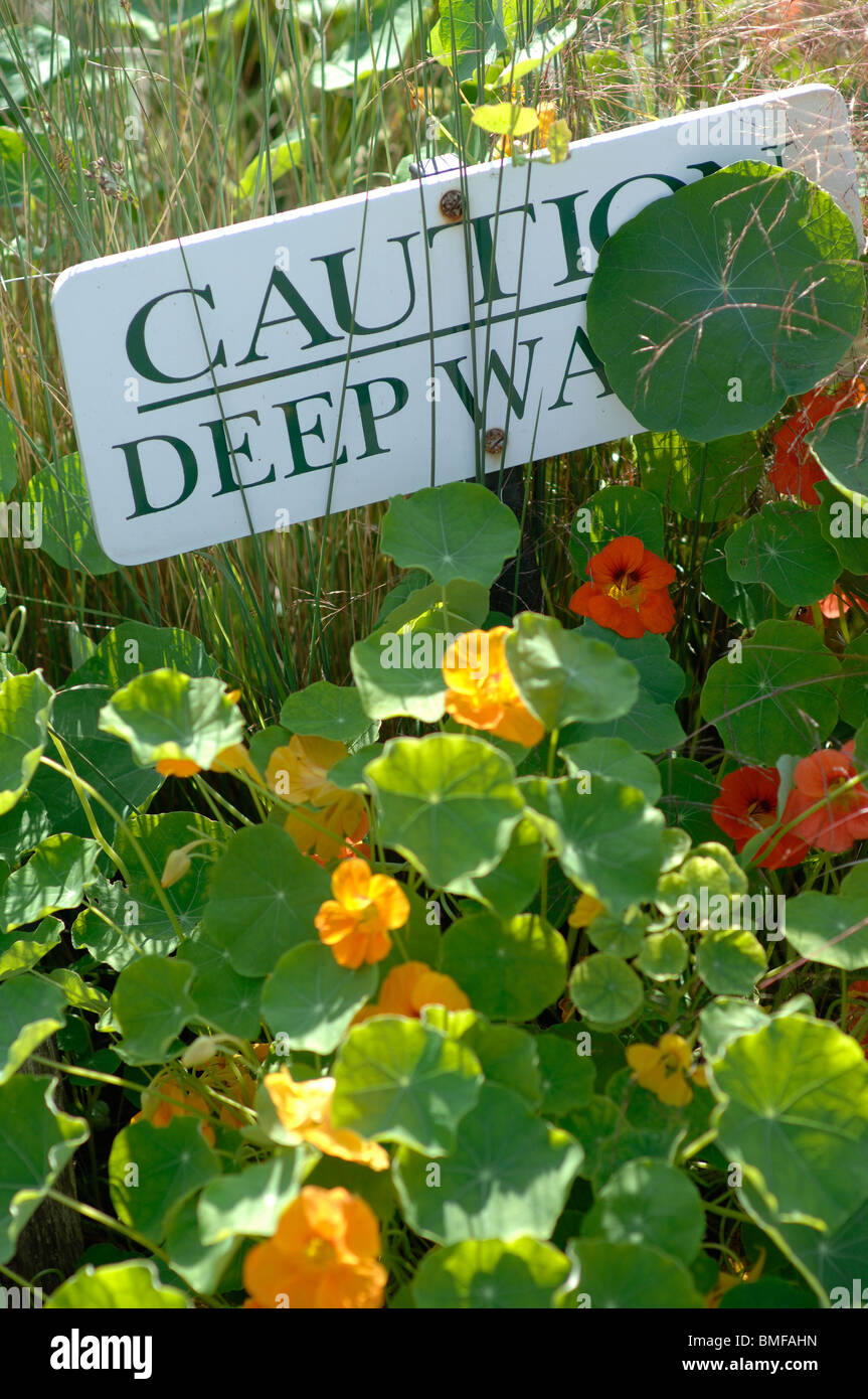 Graines de capucines Banque de photographies et d’images à haute ...