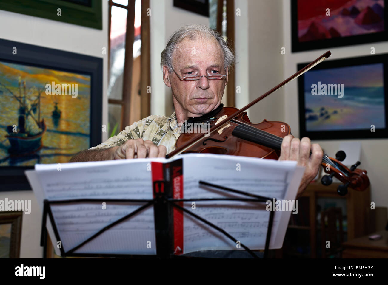 Violoniste classique Banque de photographies et d’images à haute ...