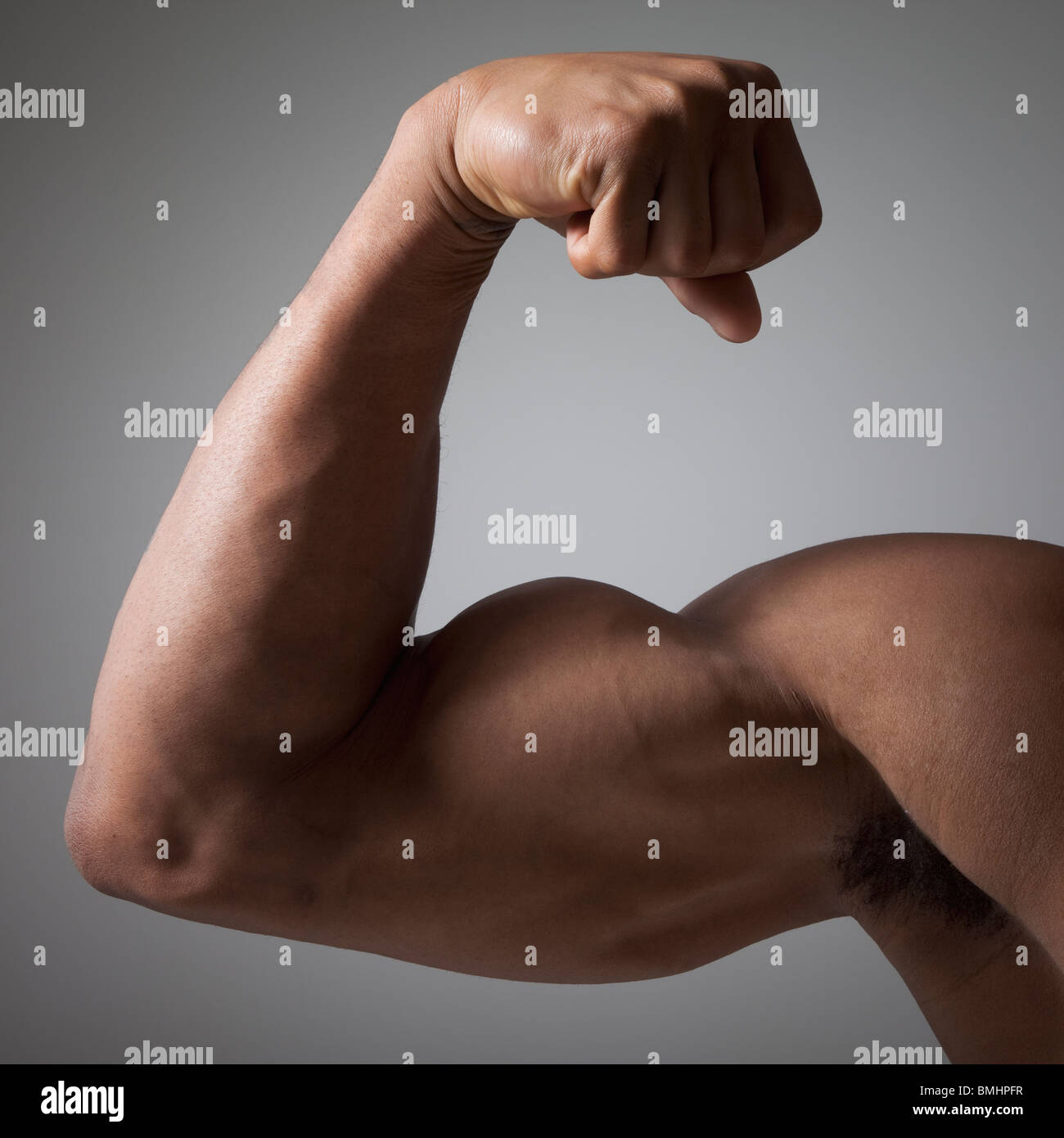 Bras fléchi muscles anatomie Banque de photographies et d’images à ...