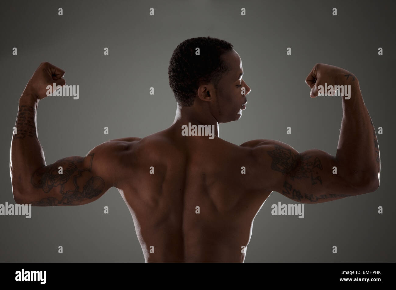 Les muscles du dos humain Banque de photographies et d’images à haute ...