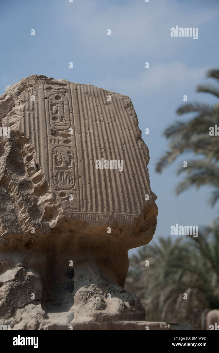 L'Égypte, Memphis (aka Menufer). Ruines de pierre ancienne avec texte ...