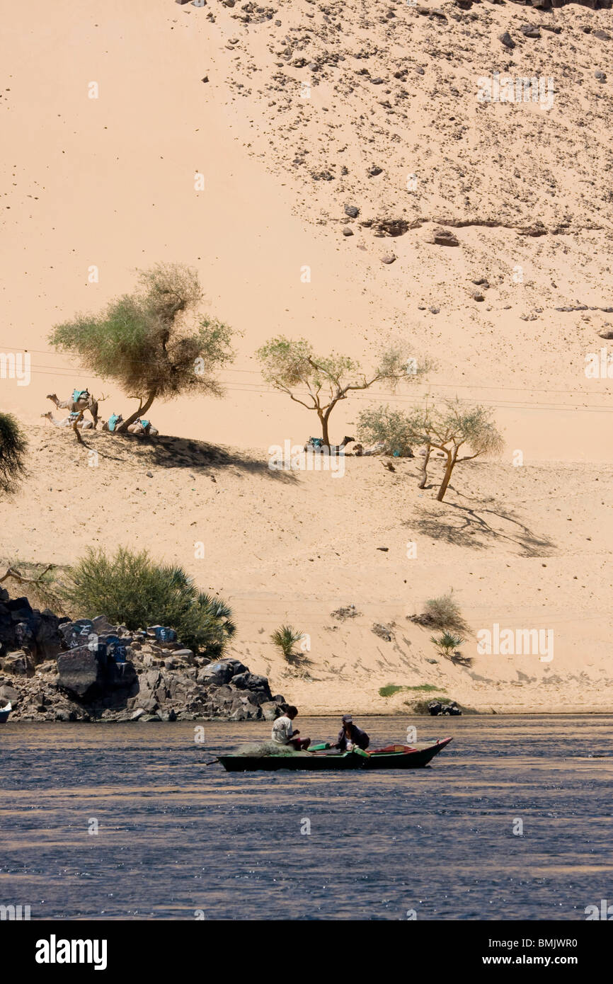 Saluga et ghazal Banque de photographies et d’images à haute résolution ...