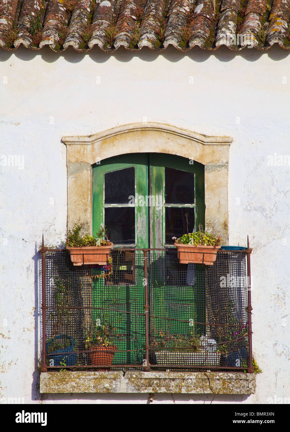 Fenêtre vert rustique avec rampe en fer forgé d'Obidos, Portugal Photo ...