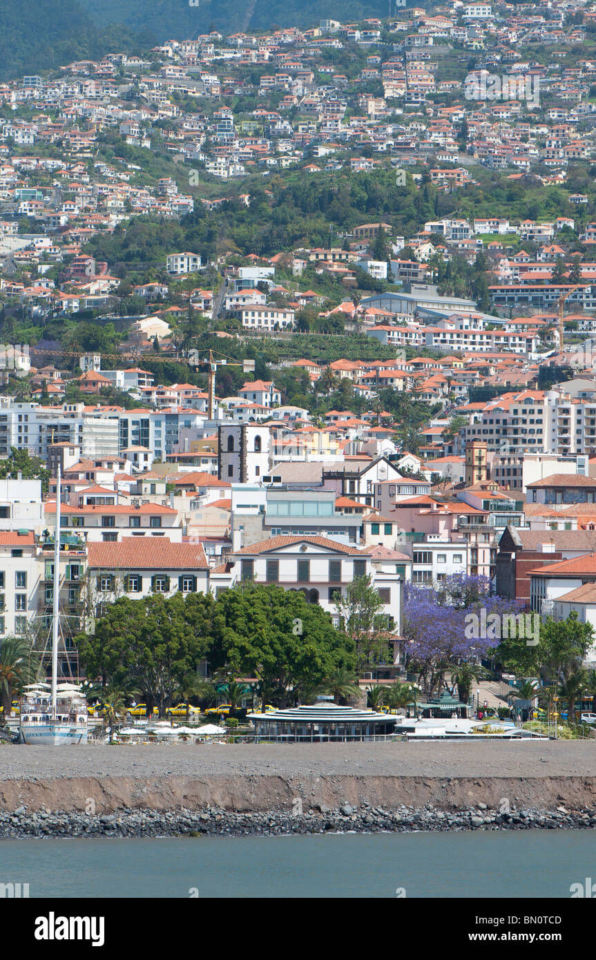 Une vue de la ville de Funchal qui montre comment l'urbanisation et les ...