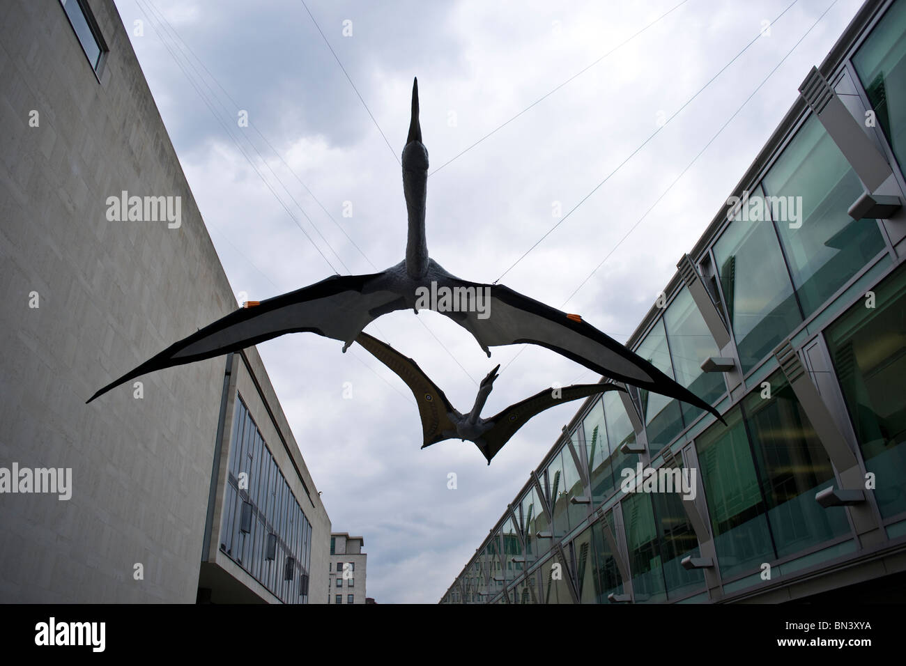 Modèles ptérodactyle au London's South Bank Photo Stock - Alamy