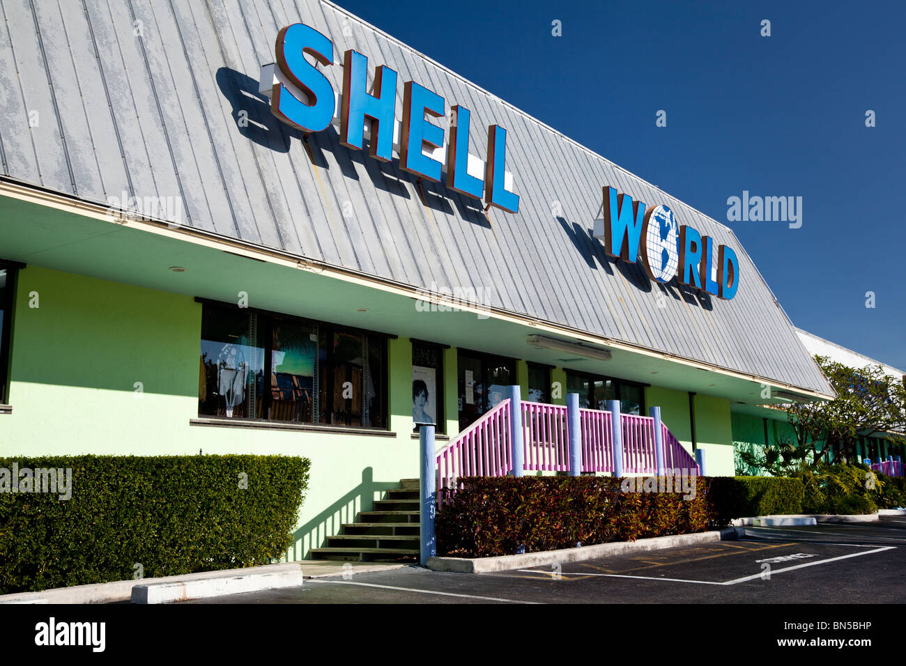 Florida shell Banque de photographies et d’images à haute résolution ...