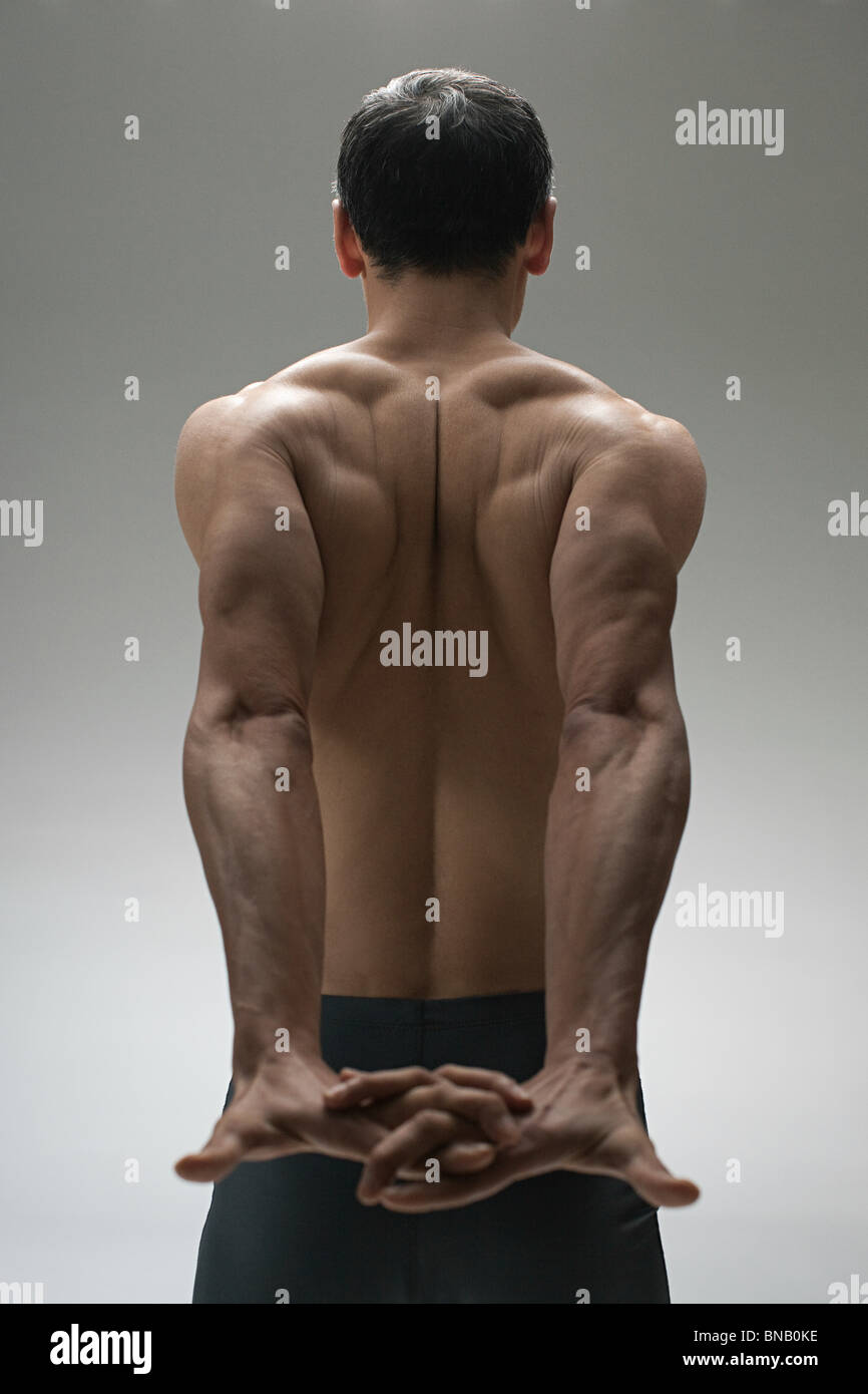 Anatomy male muscular back view Banque de photographies et d’images à haute résolution - Alamy