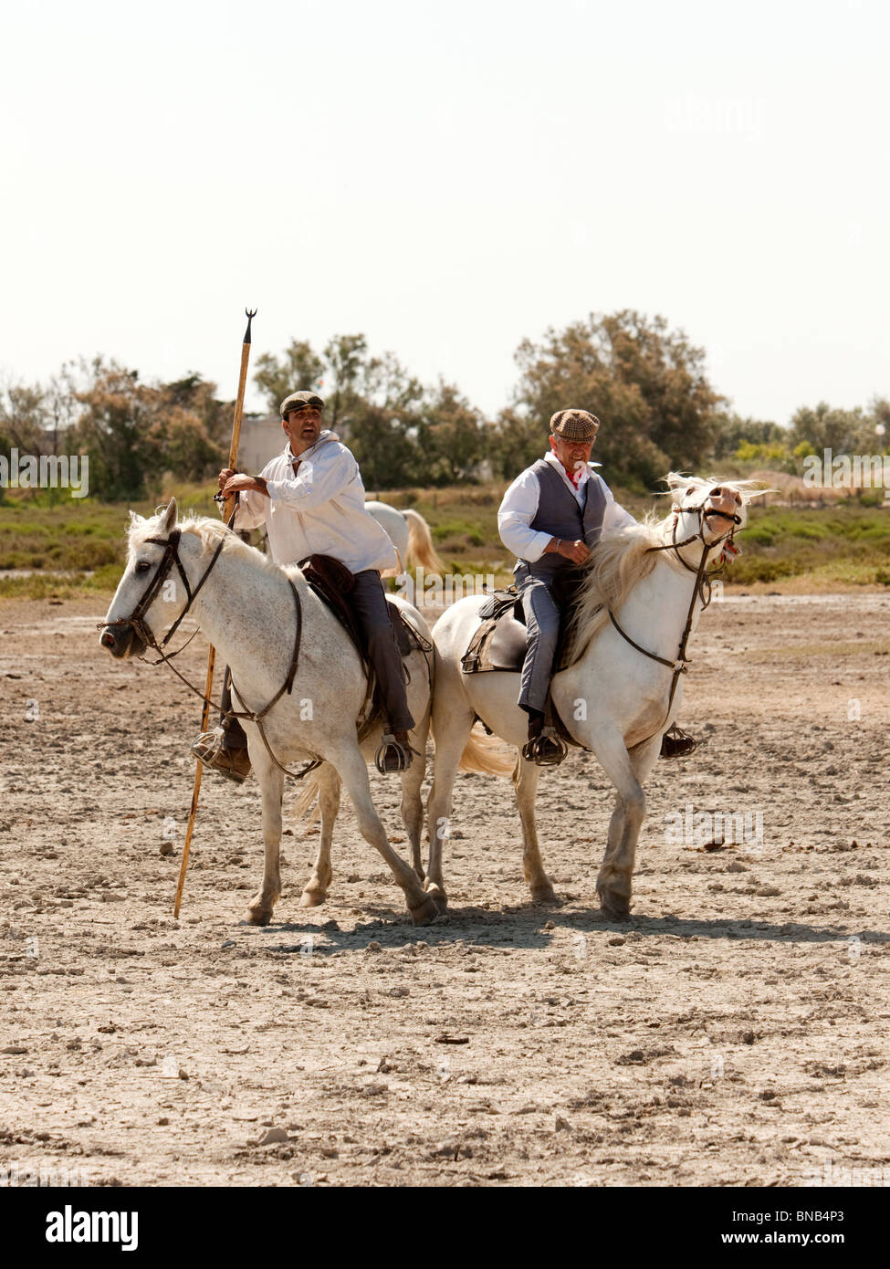 Camargue cowboy Banque de photographies et d’images à haute résolution ...