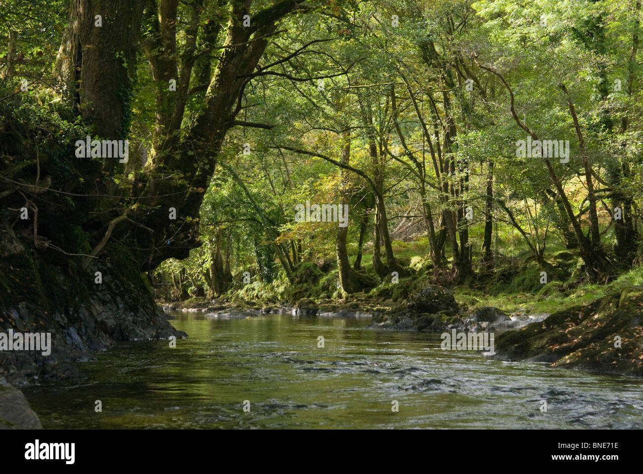 Afon cothi Banque de photographies et d’images à haute résolution - Alamy