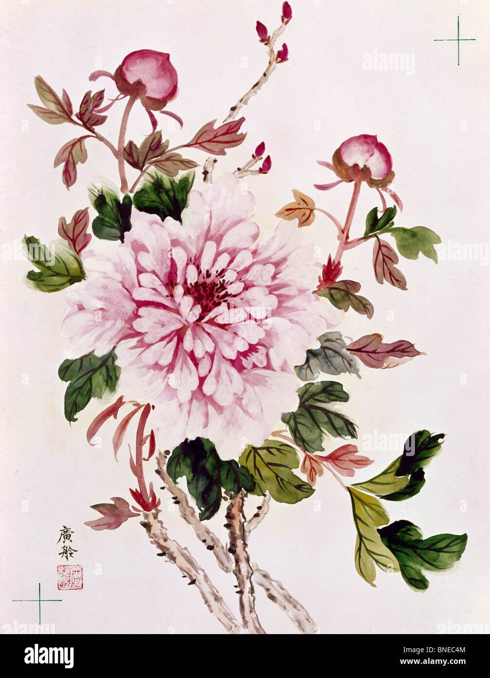 Kwang ling ku Banque de photographies et d’images à haute résolution ...