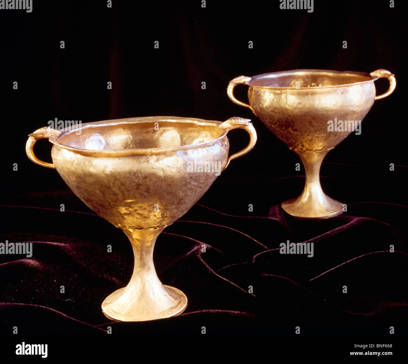 Calices noirs Banque de photographies et d’images à haute résolution ...