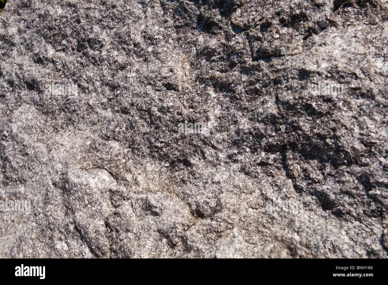 Rock texture geology syenite Banque de photographies et d’images à ...