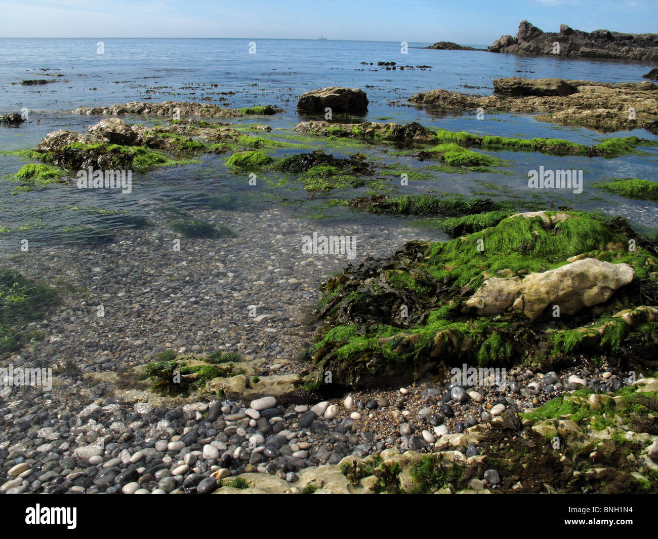 Rochers de la mer Banque de photographies et d’images à haute ...