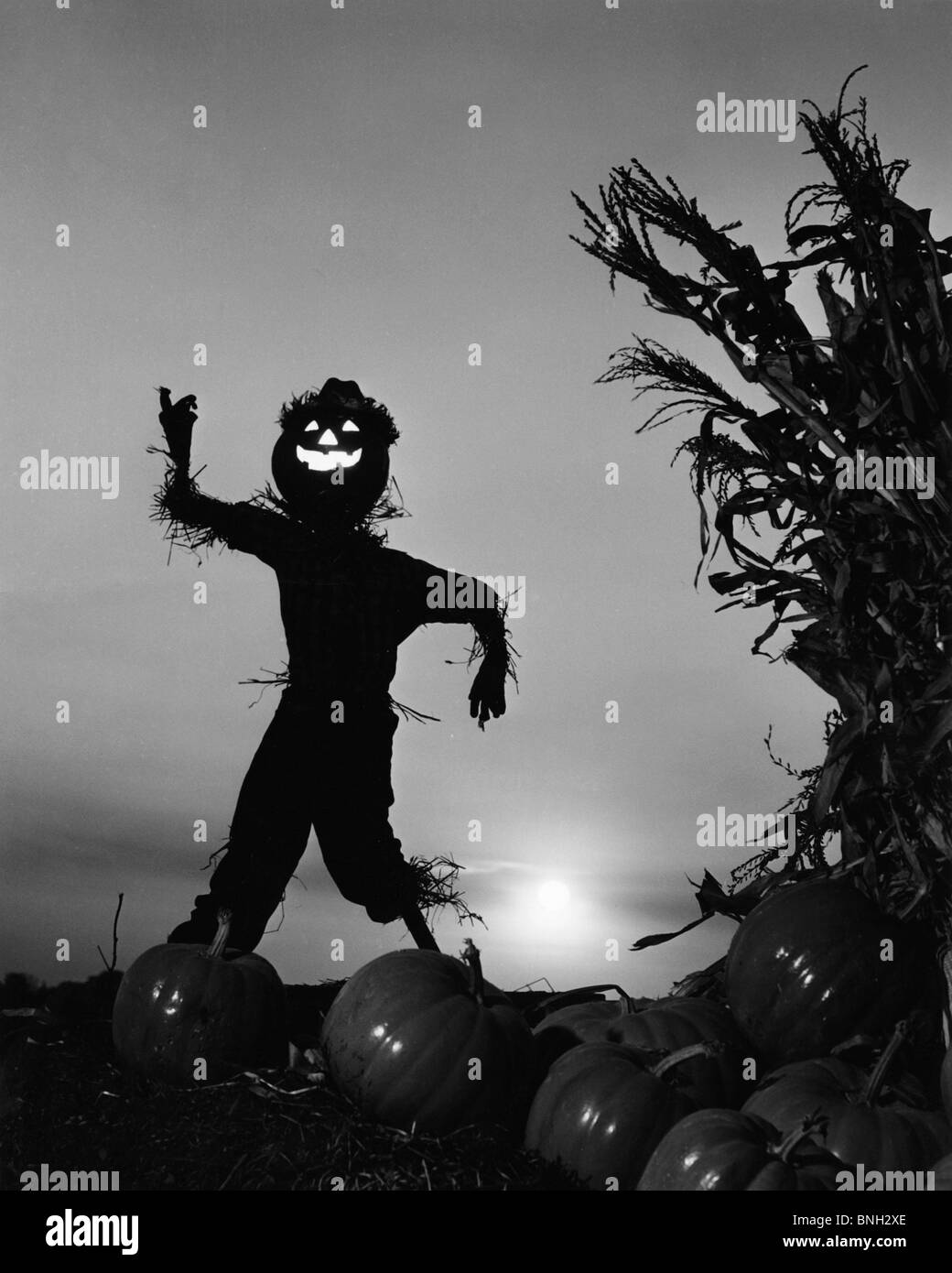 Groupe dans un champ Banque d'images noir et blanc - Alamy