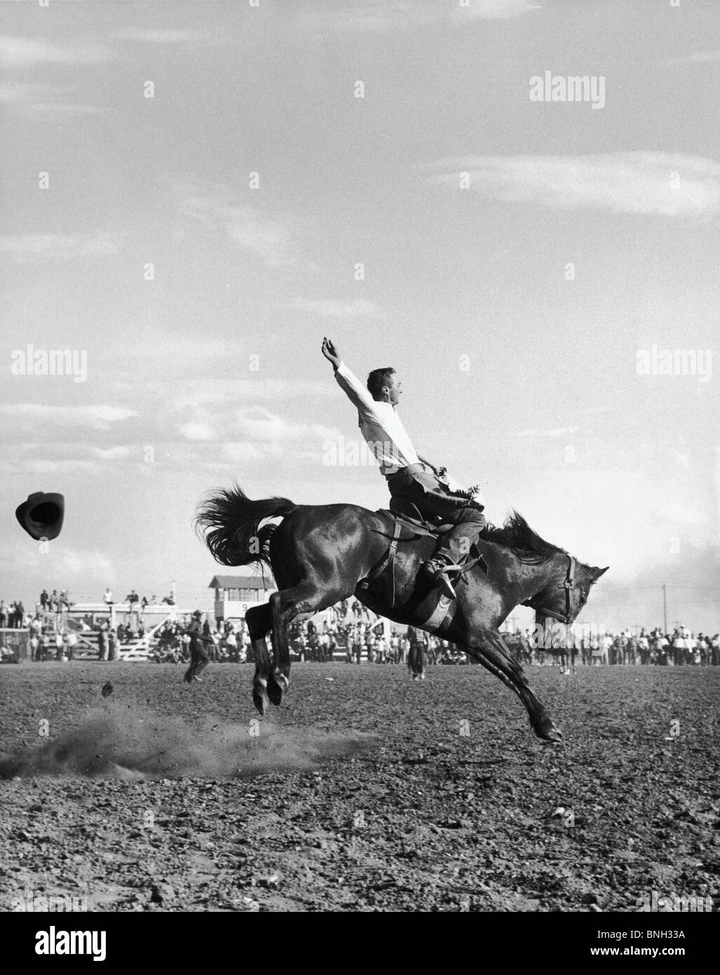 Cheval équitation Cowboy rodeo dans Photo Stock - Alamy