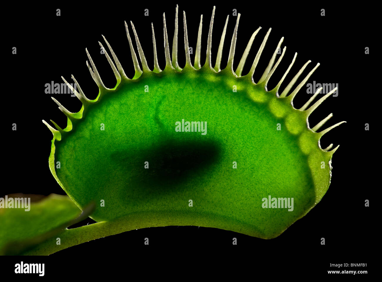 Corde solaire Banque de photographies et d’images à haute résolution ...