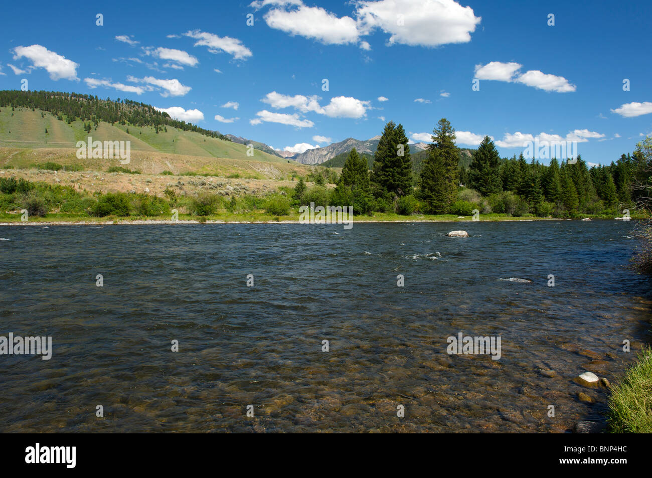 Guides montana Banque de photographies et d’images à haute résolution ...