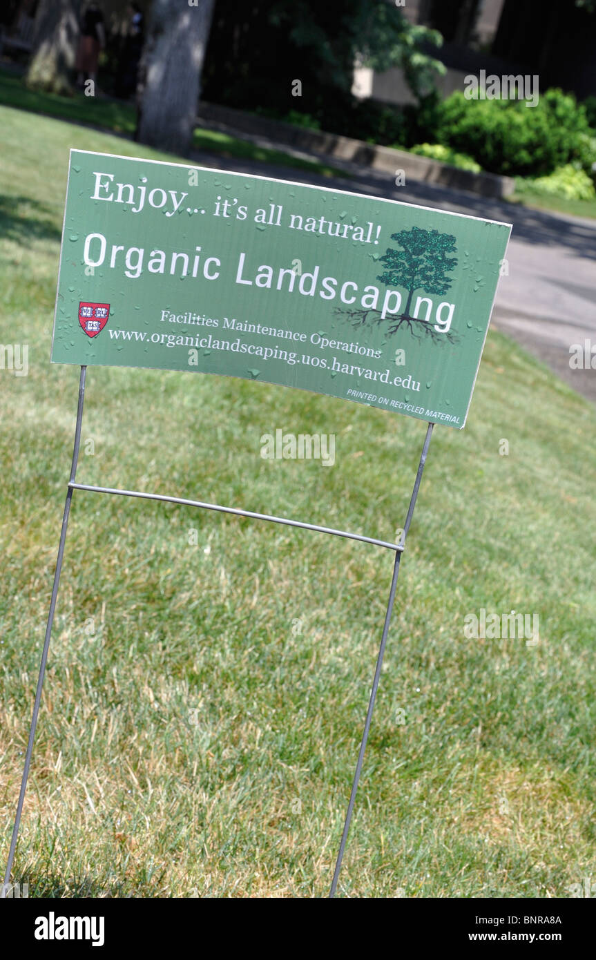 Harvard university campus sign Banque de photographies et d’images à ...