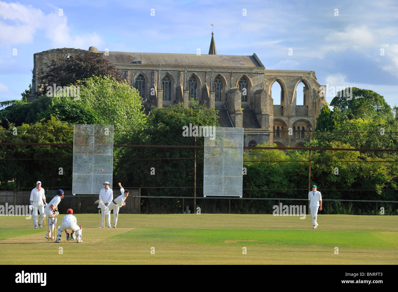 Cricket arbitre Banque de photographies et d’images à haute résolution ...