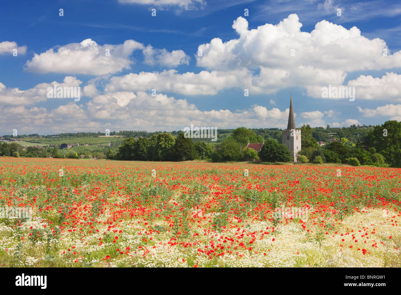 Barming kent Banque de photographies et d’images à haute résolution - Alamy