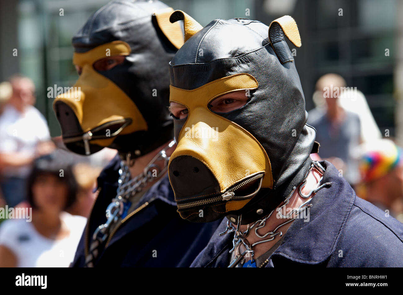 Gay hommes habillés en costumes de chien en cuir Photo Stock - Alamy
