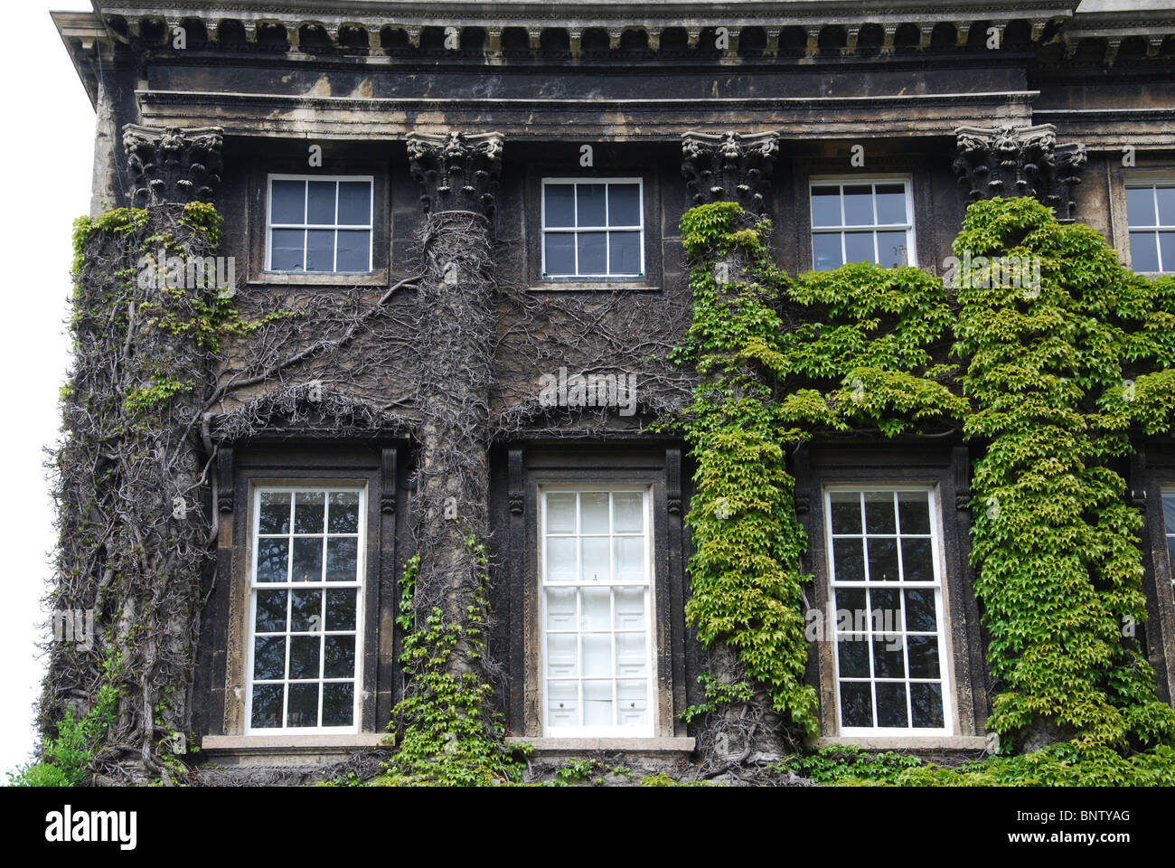 Murs de la maison de lierre Banque de photographies et d’images à haute ...