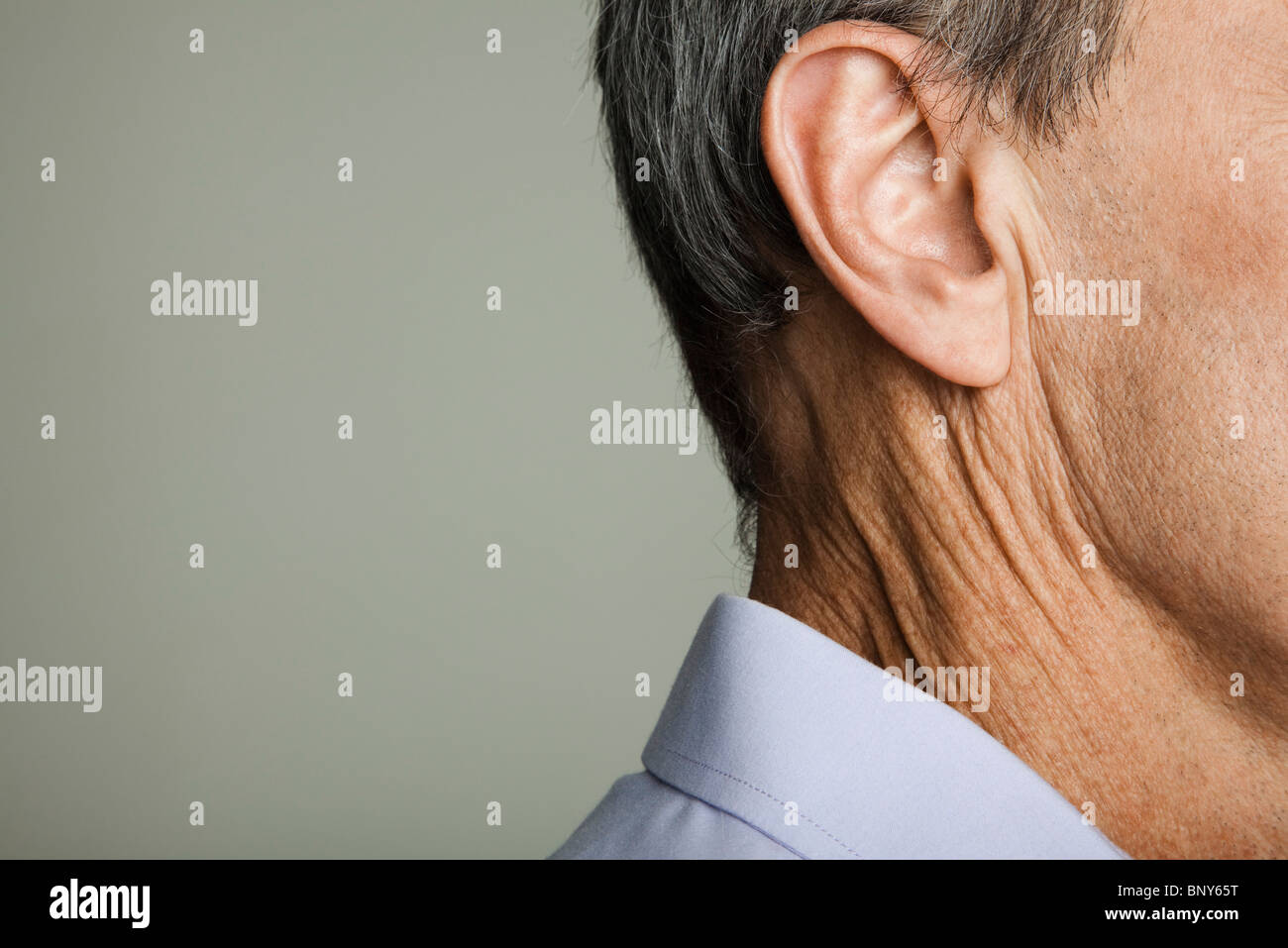 Parts Of The Ear Banque d'image et photos - Alamy