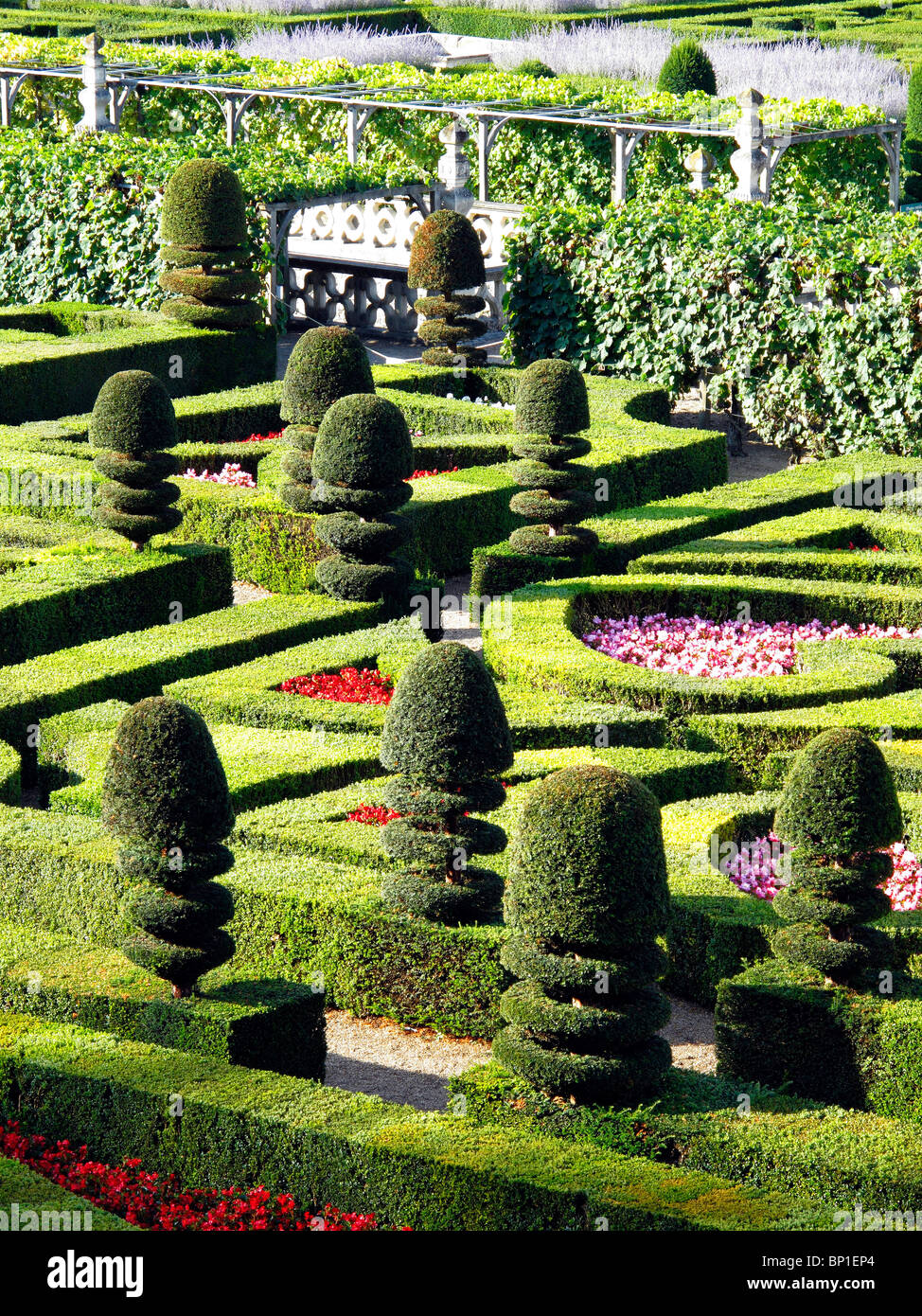 France, Centre, Indre et Loire, le château de Villandry Photo Stock - Alamy