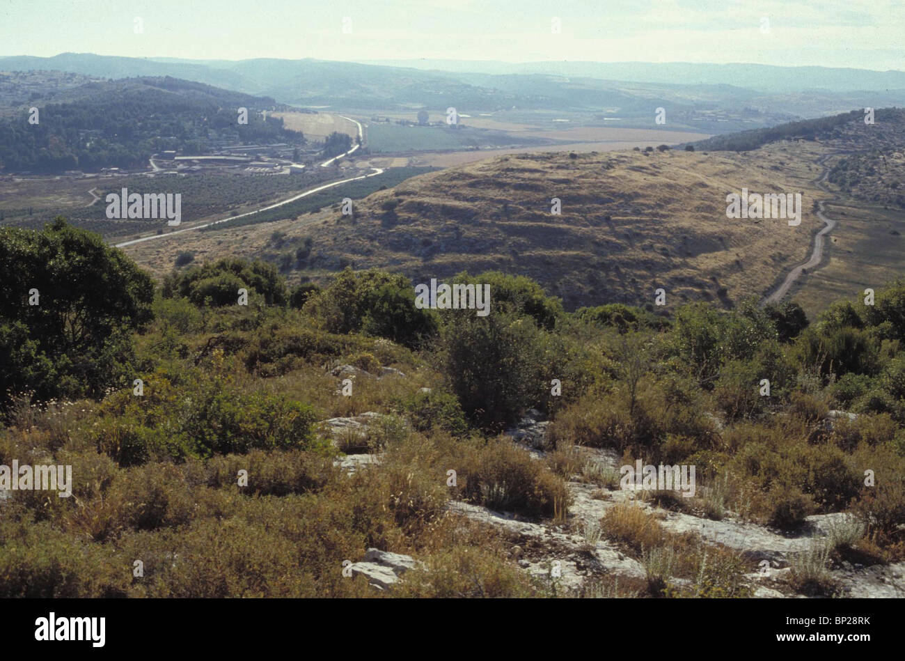 Le roi roboam Banque de photographies et d’images à haute résolution ...